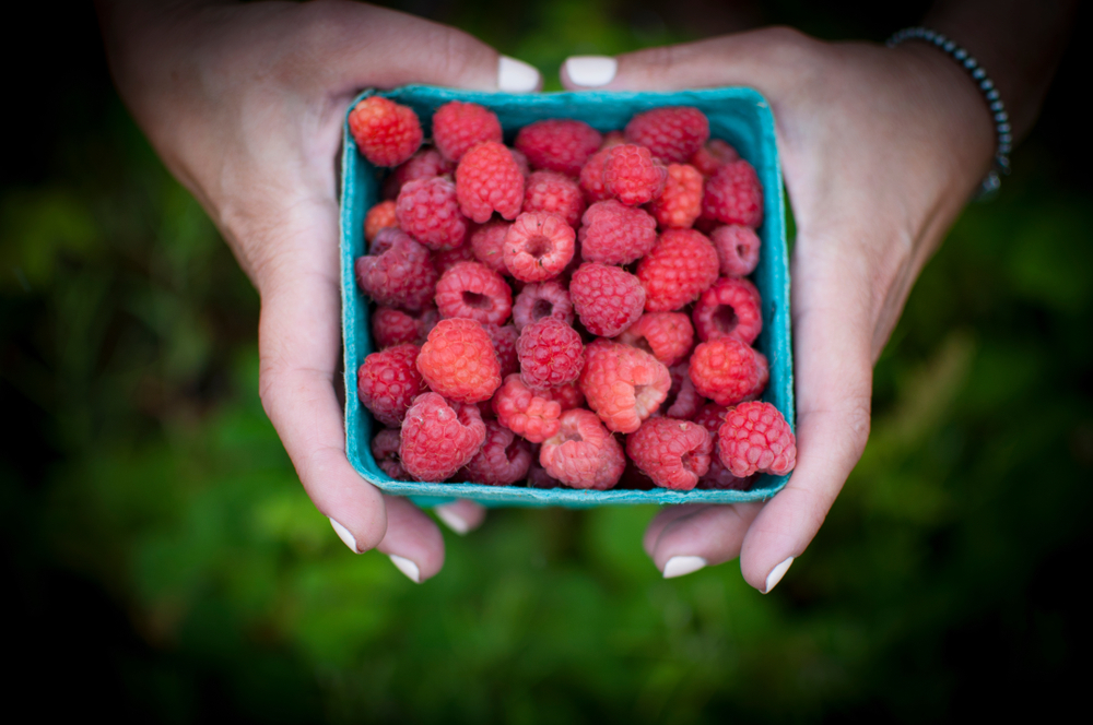 6 Best Foods To Try On Prince Edward Island | TravelAwaits