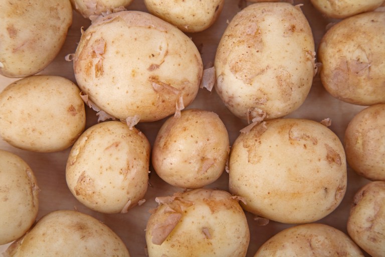 6 Best Foods To Try On Prince Edward Island | TravelAwaits