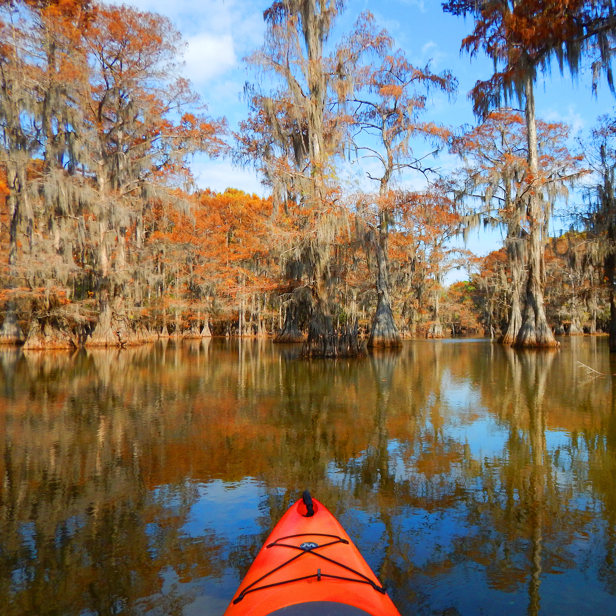 Best Things To Do At Caddo Lake | TravelAwaits