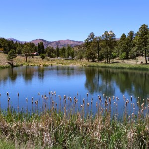 Fabulous Things To Do In Beautiful Ruidoso | TravelAwaits