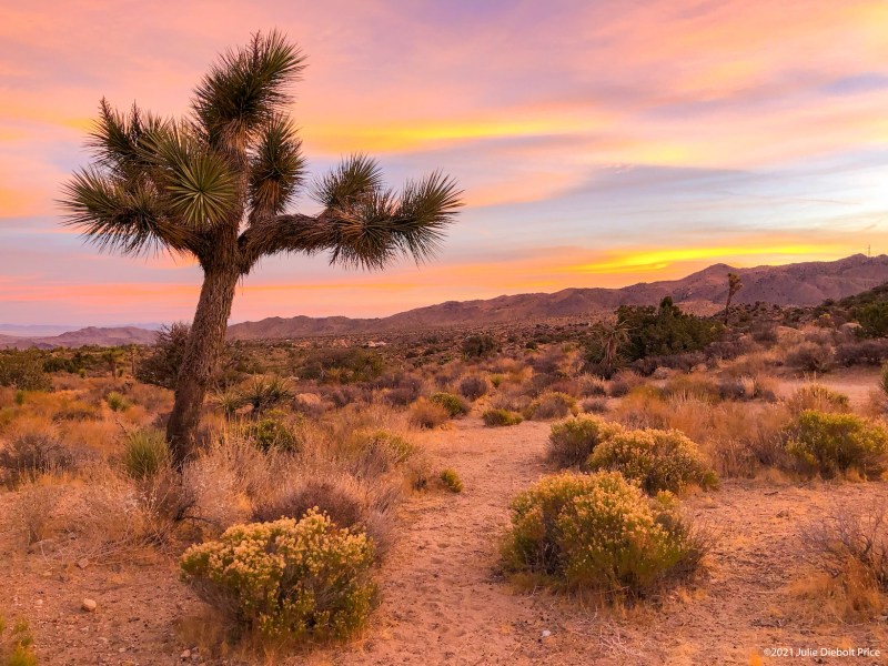 9 Most Beautiful Sunrises To See In the World | TravelAwaits