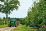 11 Best Apple Picking In Massachusetts | TravelAwaits