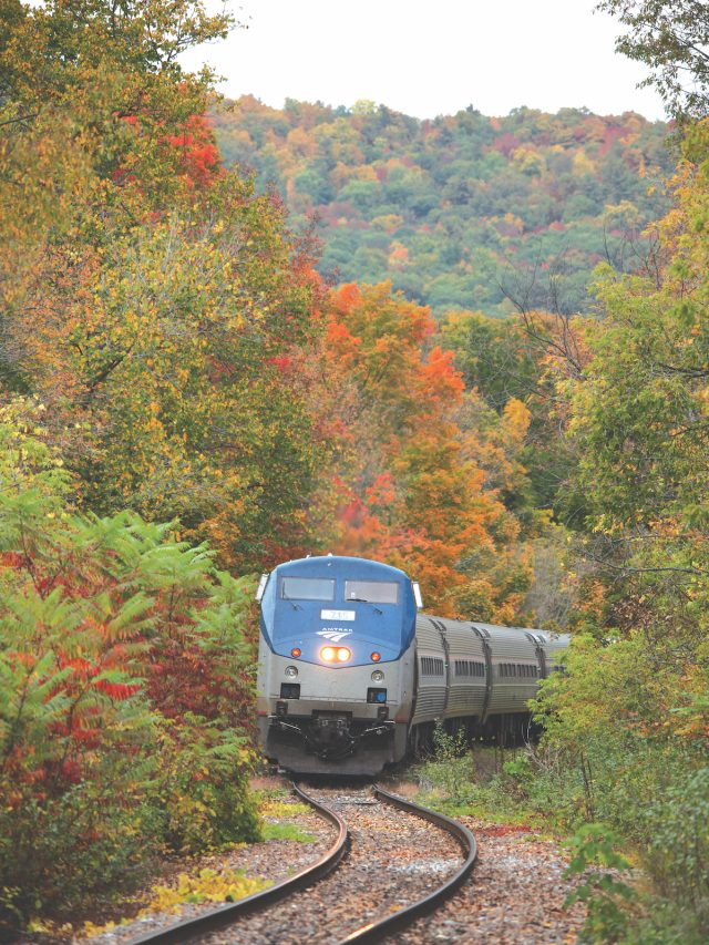 8 Spectacular Fall Foliage Train Rides In The U.S. | TravelAwaits