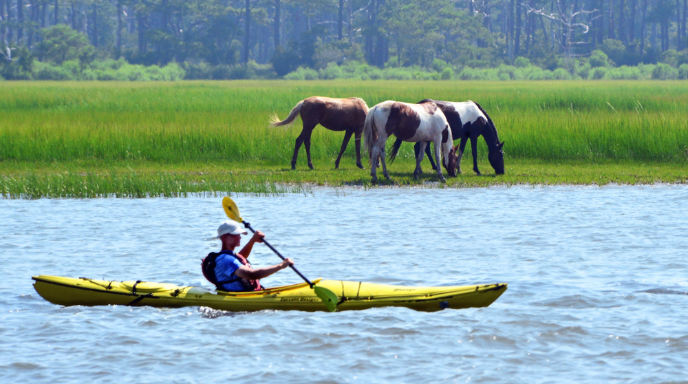 9 Tips For Visiting Assateague Island National Seashore | TravelAwaits