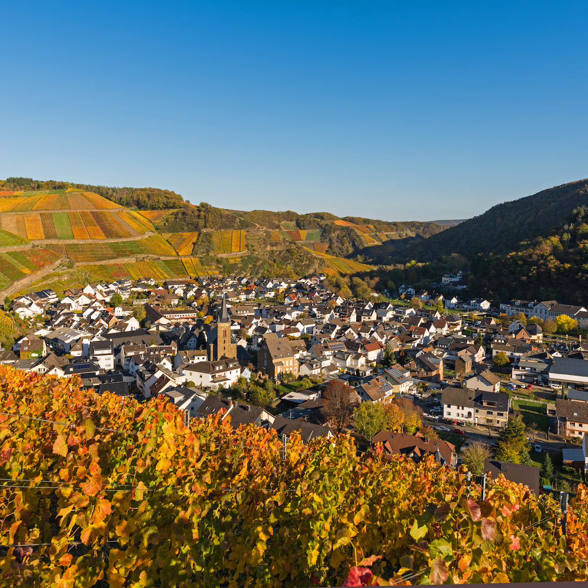 7 Best Fall Wine Tasting Destinations In Germany | TravelAwaits