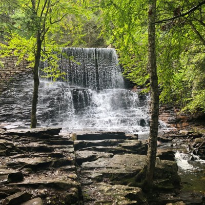 11 Gorgeous State Parks To Visit In Pennsylvania | TravelAwaits