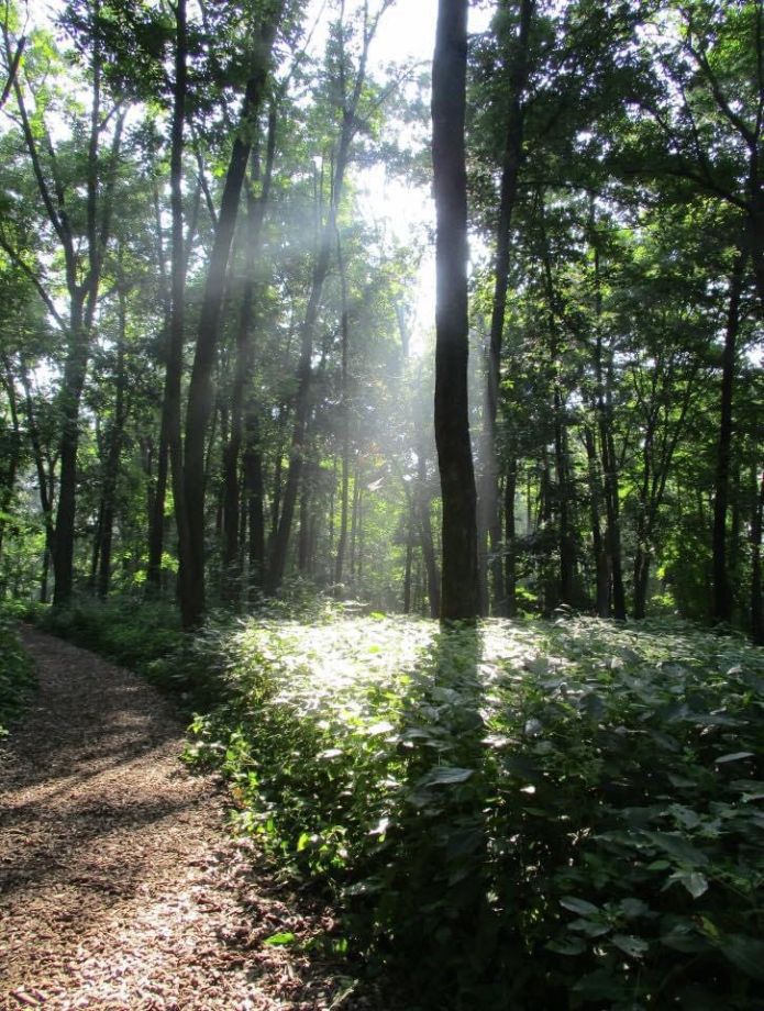 9 Best Places To Learn The True History Of Native Americans In The ...