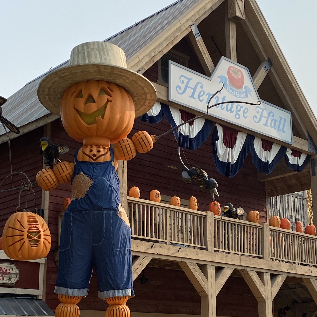 5 Tips For Experiencing Fall Foliage In Branson | TravelAwaits
