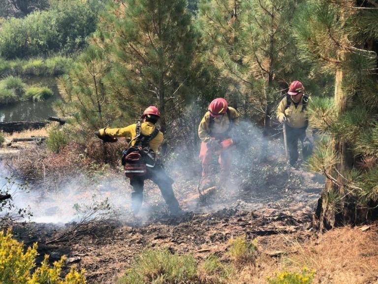 Nearly 70% Of Lassen Volcanic National Park Burned By Wildfire ...