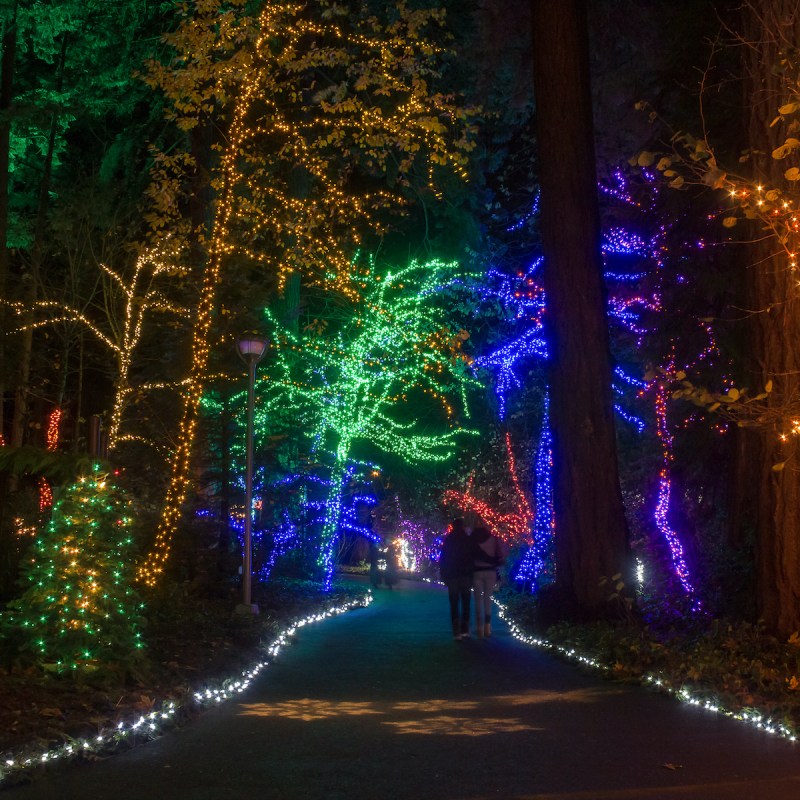 15 Most Magical Experiences at Christmas in Portland, Oregon - TravelAwaits