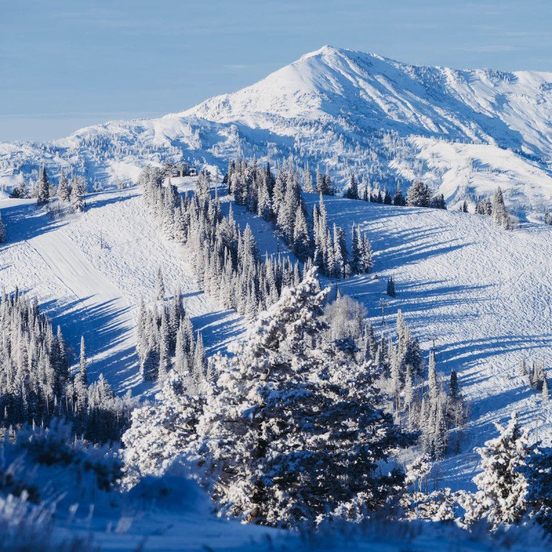 Powder Mountain Ski Resort Is Utah's Best Hidden Gem | TravelAwaits