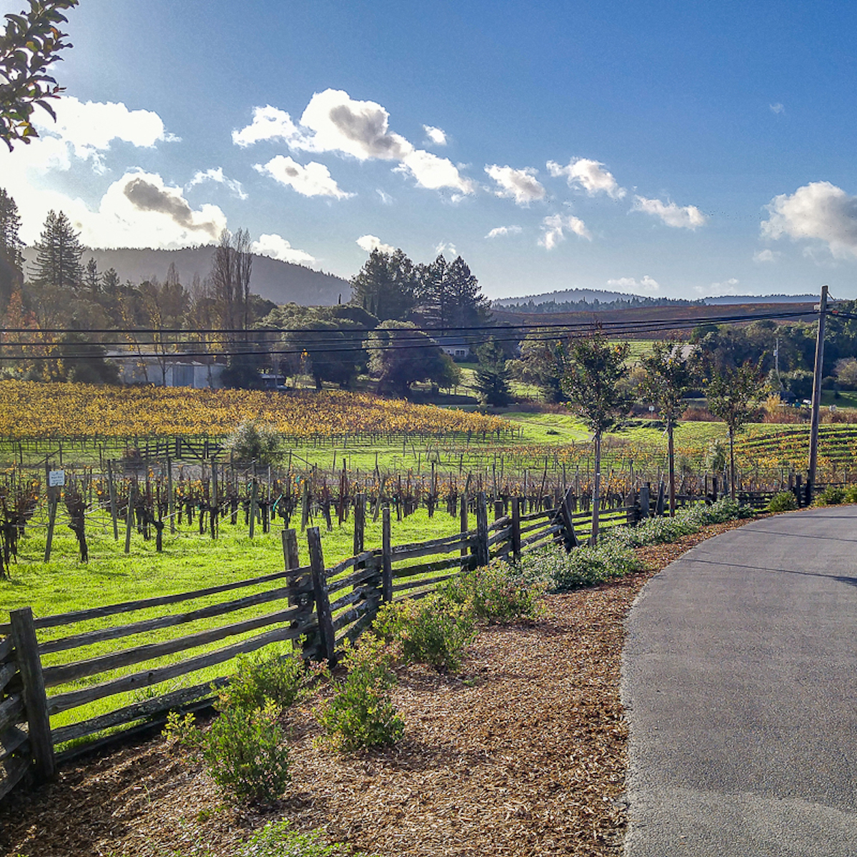 10 Reasons You'll Fall In Love With California's Anderson Valley ...