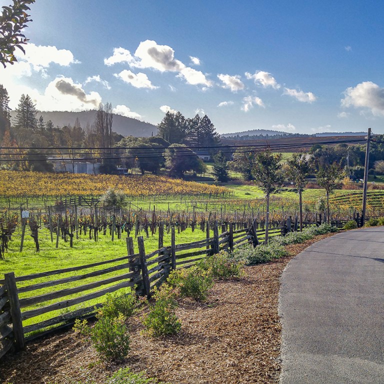 10 Reasons You'll Fall In Love With California's Anderson Valley ...