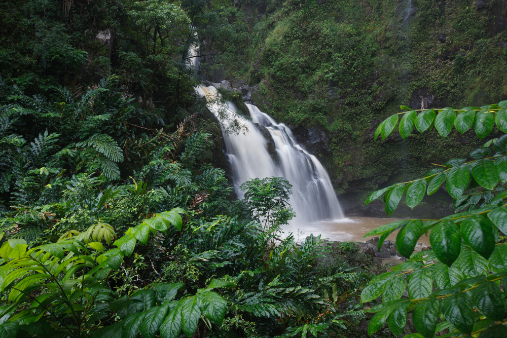My 20 Favorite Waterfalls To Visit In Hawaii | TravelAwaits