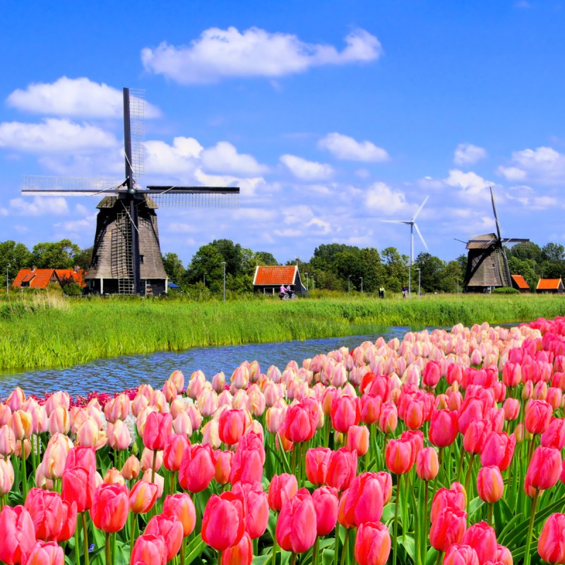 7 Amazing Sights To See In Amsterdam In The Spring | TravelAwaits