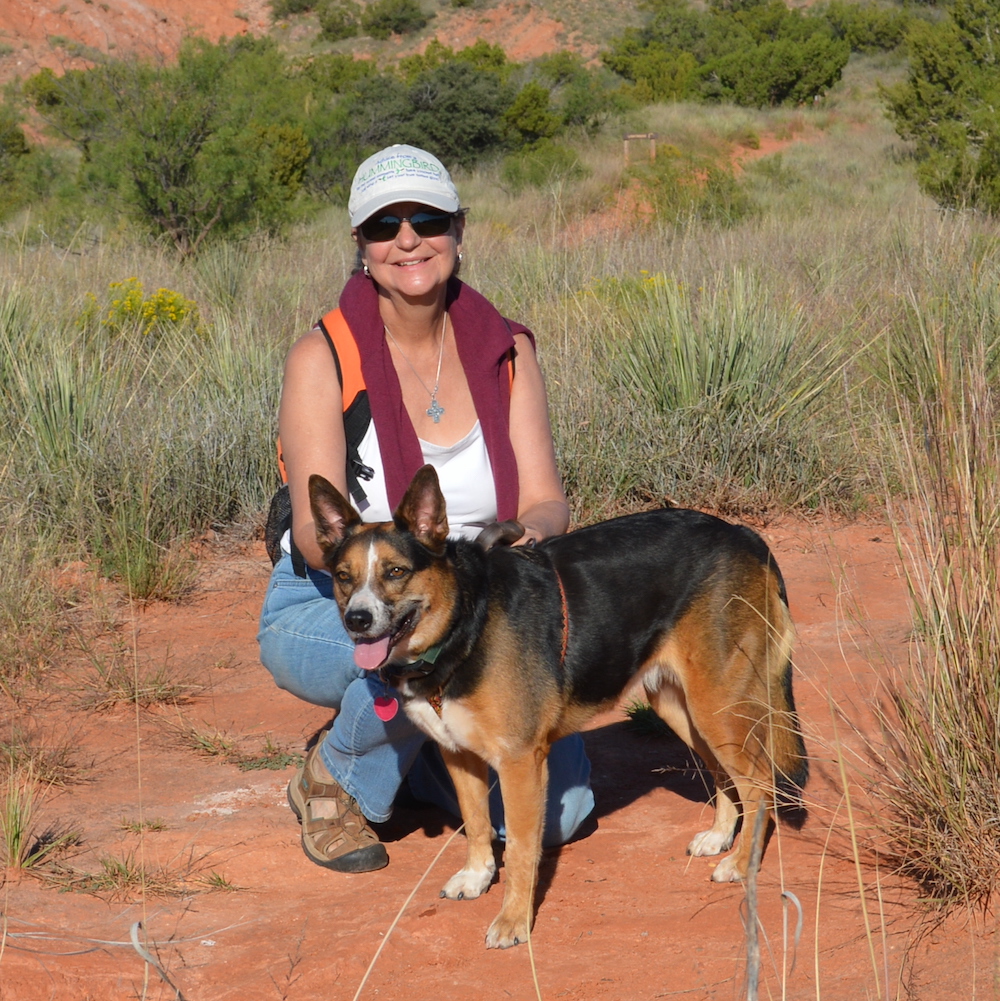Ann Bush, Author at TravelAwaits