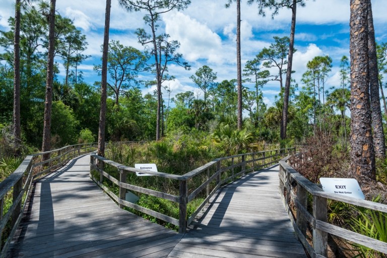 7 Incredible National Parks And Preserves To Visit In Southern Florida ...