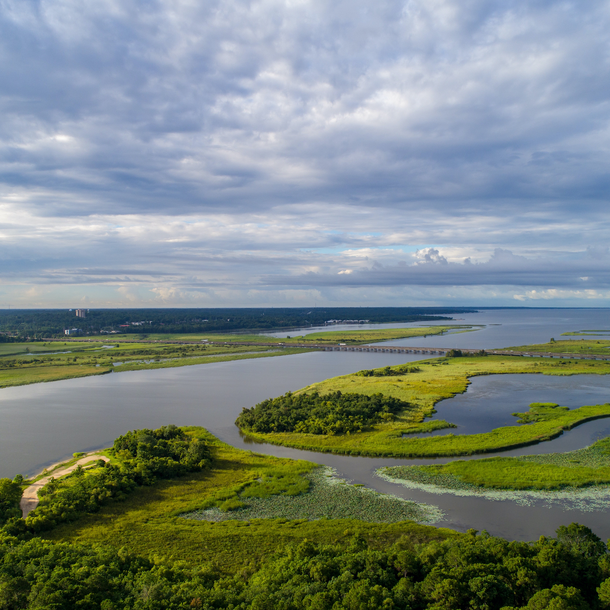 9 Fantastic Adventures On The Mobile-Tensaw River Delta | TravelAwaits