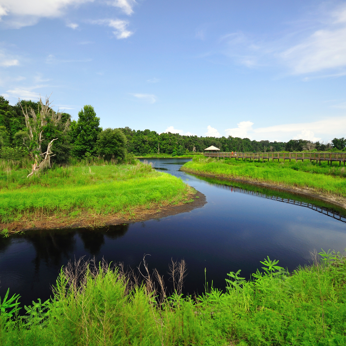 9 Best Florida State Parks For Families With Small Children | TravelAwaits