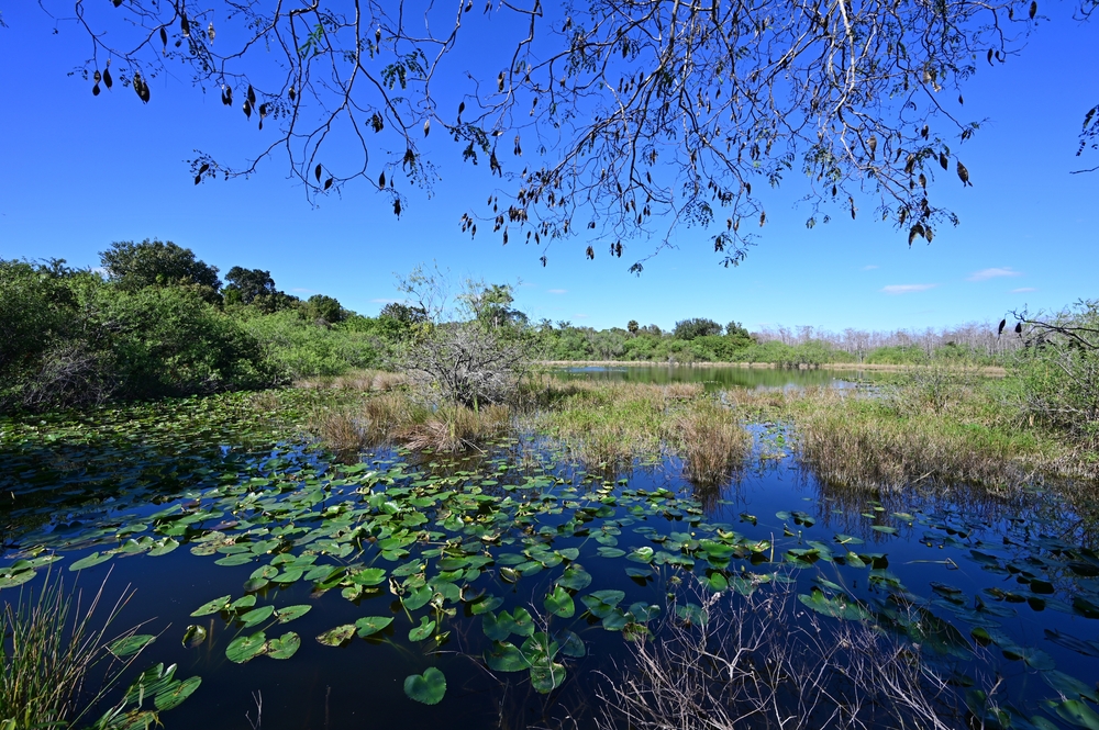 7 Incredible National Parks And Preserves To Visit In Southern Florida ...
