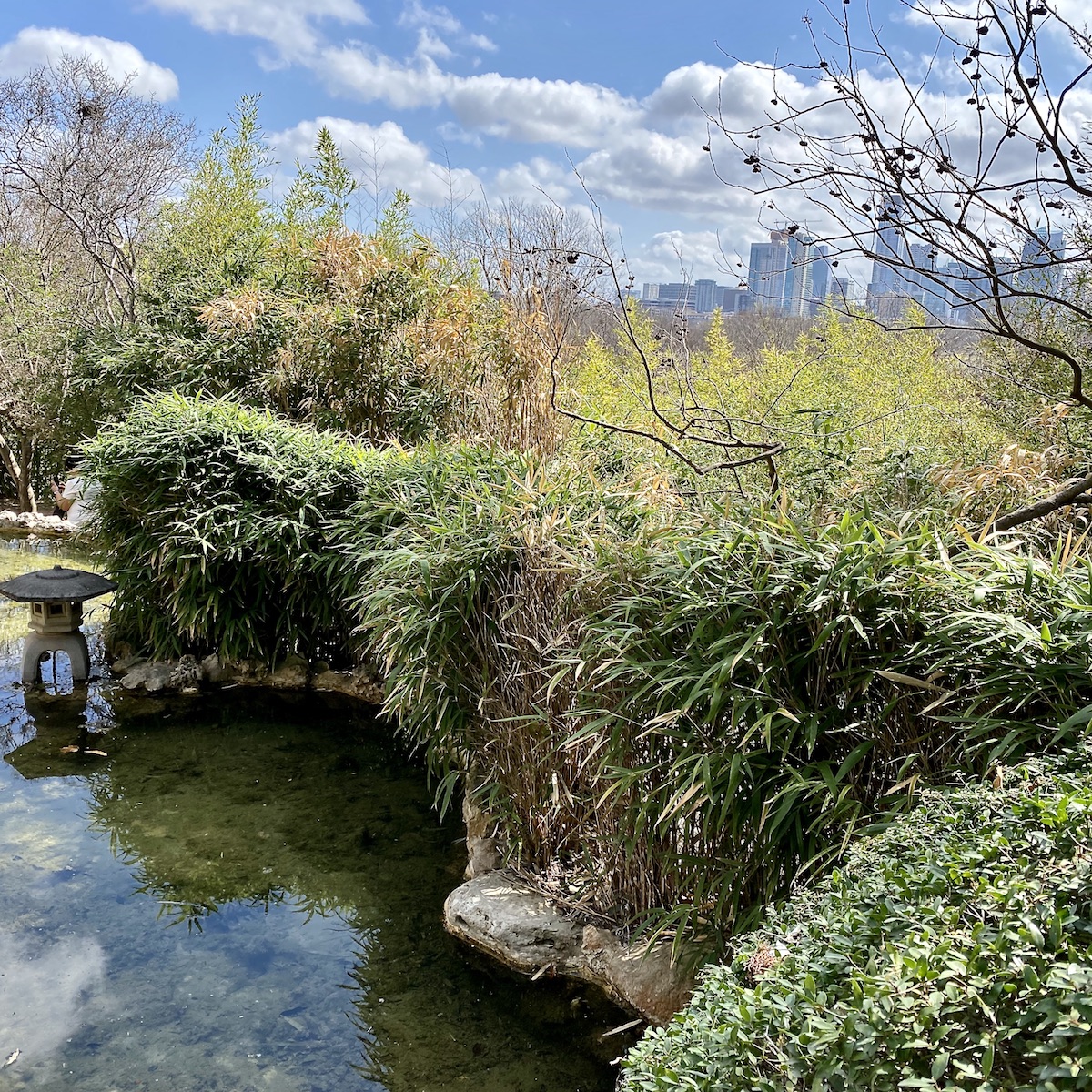 6 Fantastic Outdoor Activities In Austin During The Spring | TravelAwaits