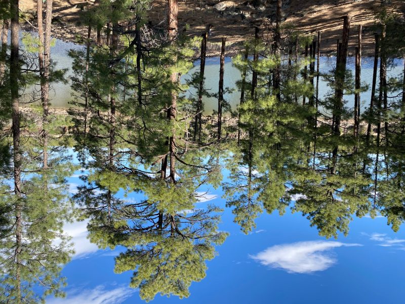 9 Fantastic Things To Do In Pinetop-Lakeside | TravelAwaits