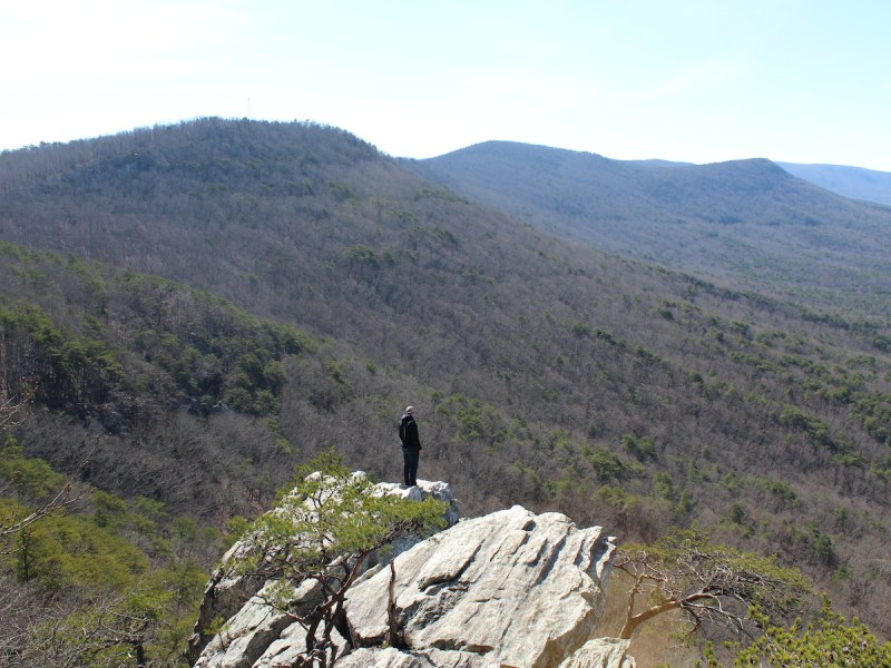 AllTrails — The App Every Hiker Needs Now | TravelAwaits