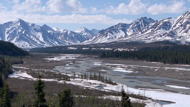 11 Things To Know Before Visiting Denali National Park And Preserve ...