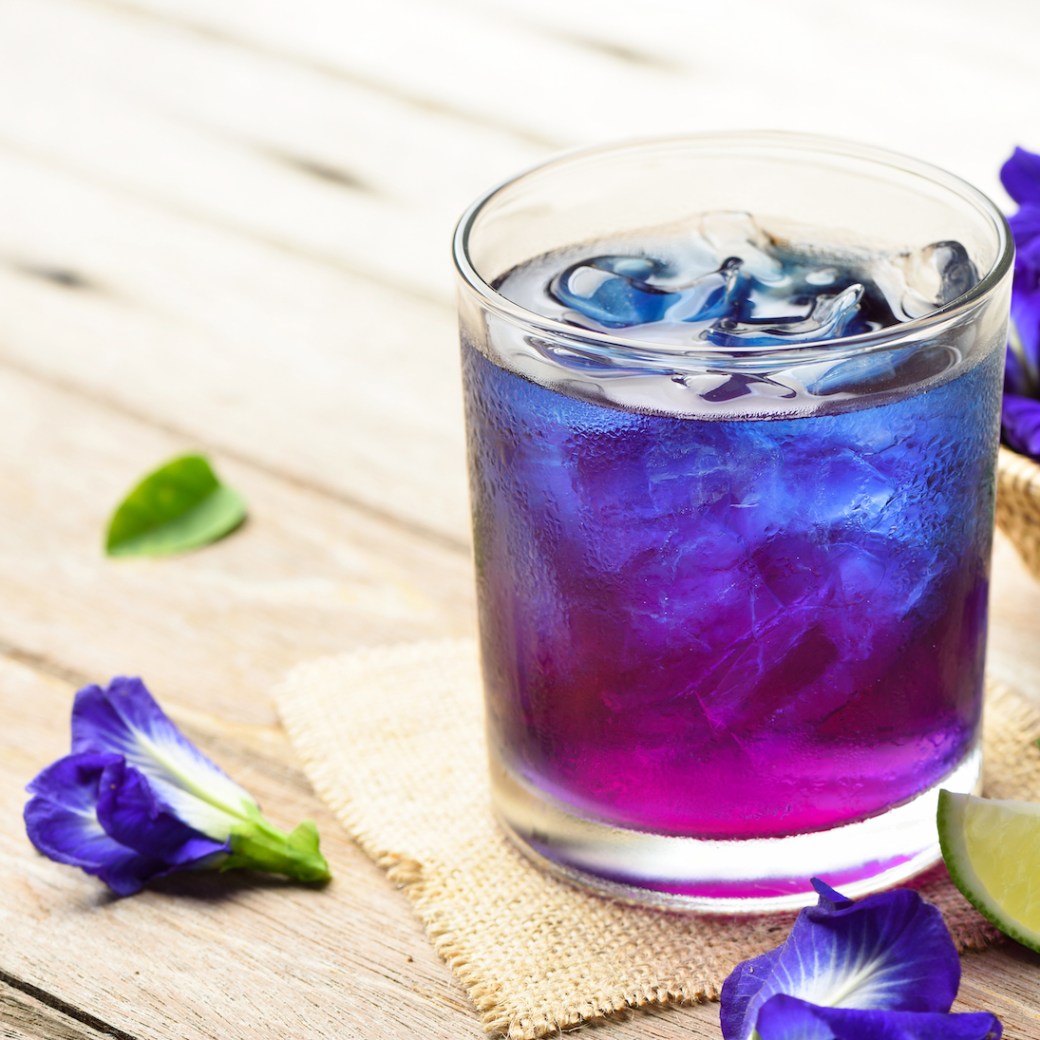 What Is Butterfly Pea And Why It’s Taking The Food World By Storm ...