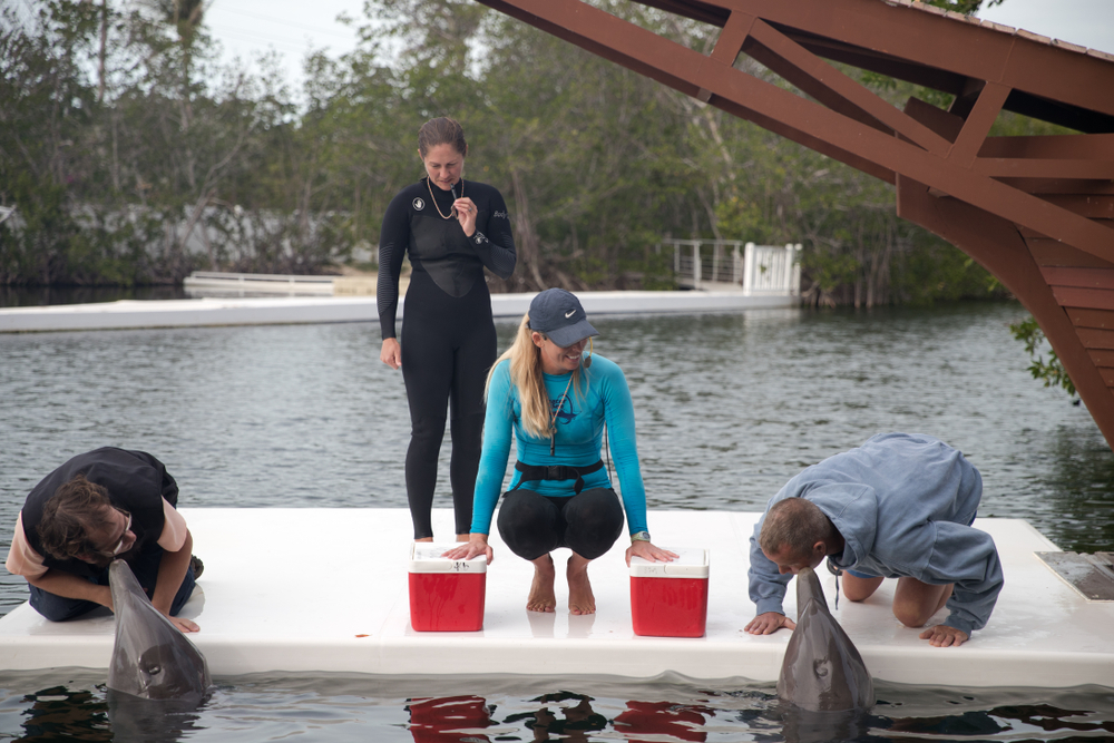 9 Fantastic Things To Do In Islamorada, Florida | TravelAwaits