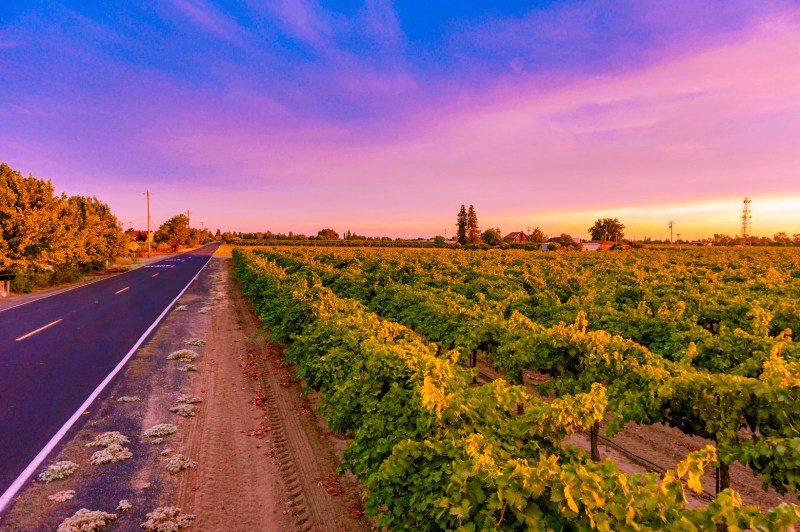 5 Fantastic Reasons To Experience Lodi Wine Country | TravelAwaits