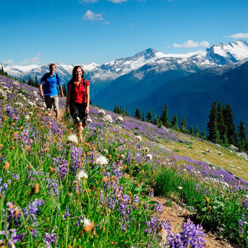 10 Best Things To Do In Whistler During The Summer | TravelAwaits