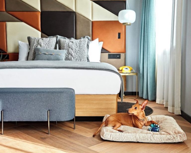 11 Hotels Where Dogs Stay Free | Pet-Friendly Hotel Chains - TravelAwaits