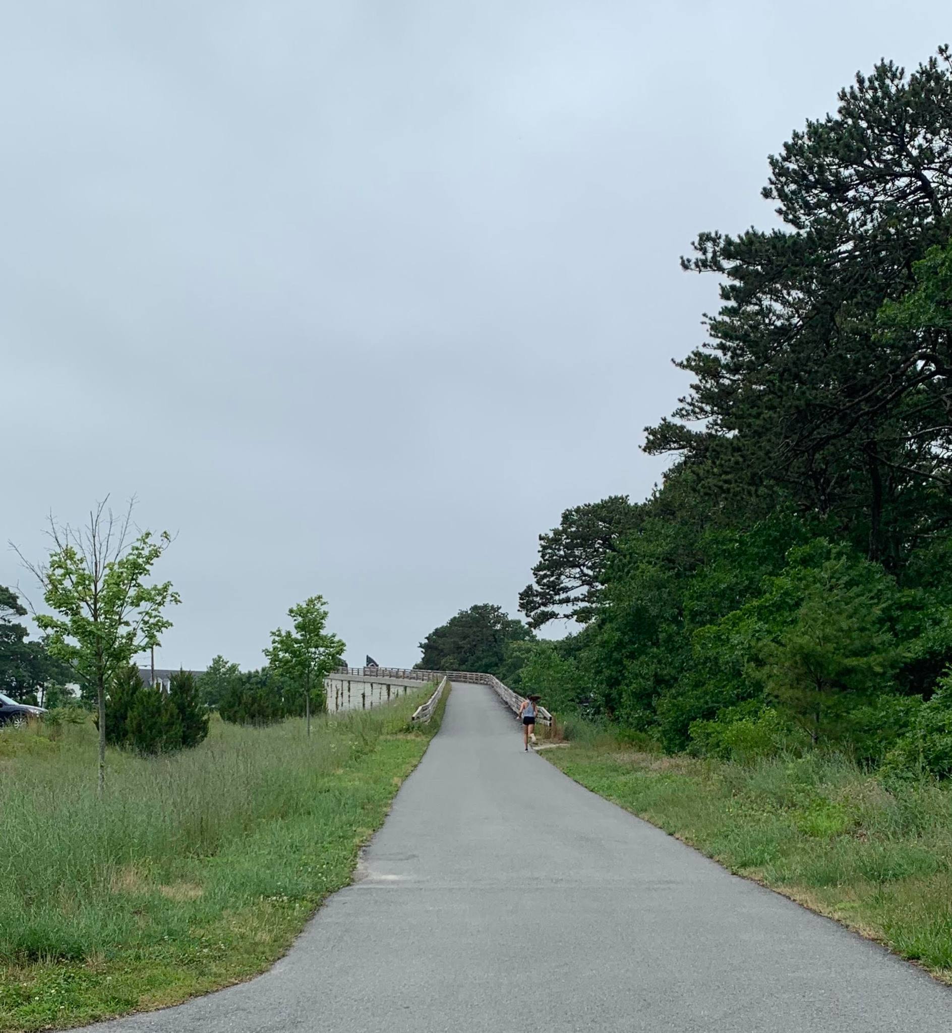 16 Scenic Stops Along The Beautiful Cape Cod Rail Trail | TravelAwaits
