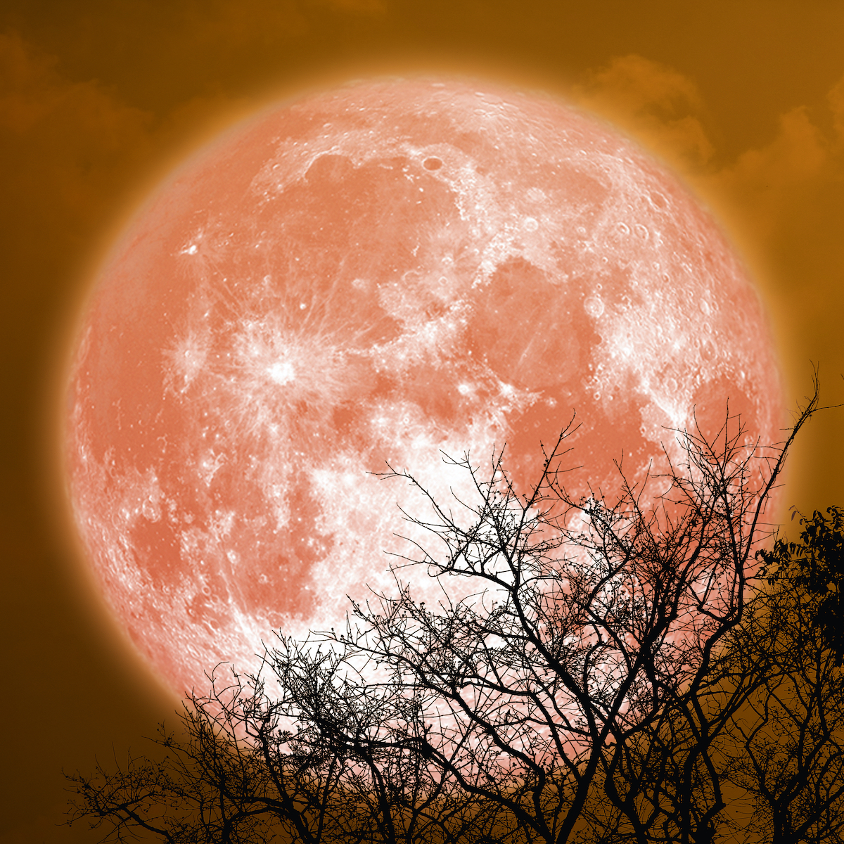 This Week’s Full Moon Is The Last Of Its Kind This Year, Here’s Why ...