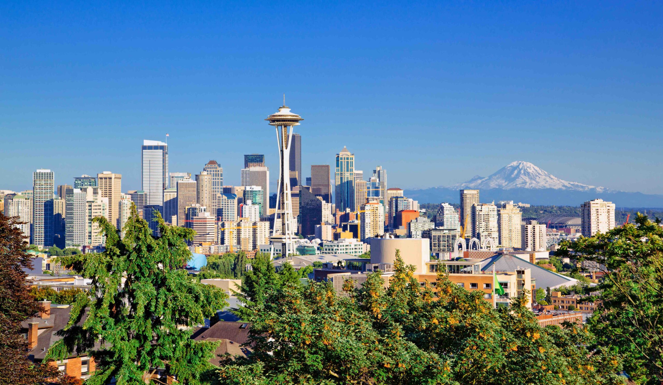 10 Best Seattle Airbnb Plus Vacation Homes | TravelAwaits