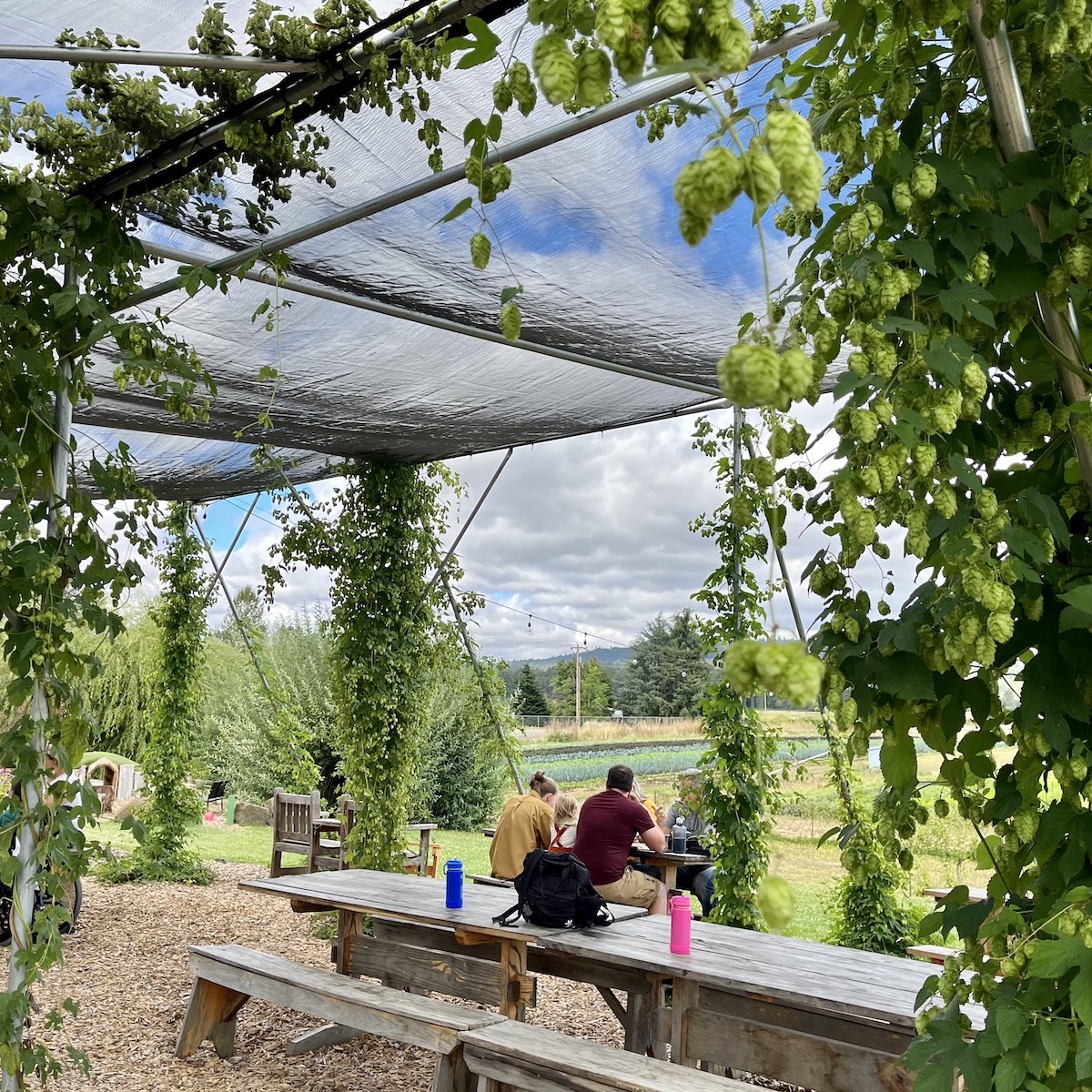 11 Delicious Restaurants To Try In Salem | TravelAwaits