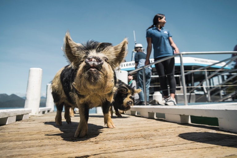 8 Unique Mail Runs To Experience Around The World | TravelAwaits