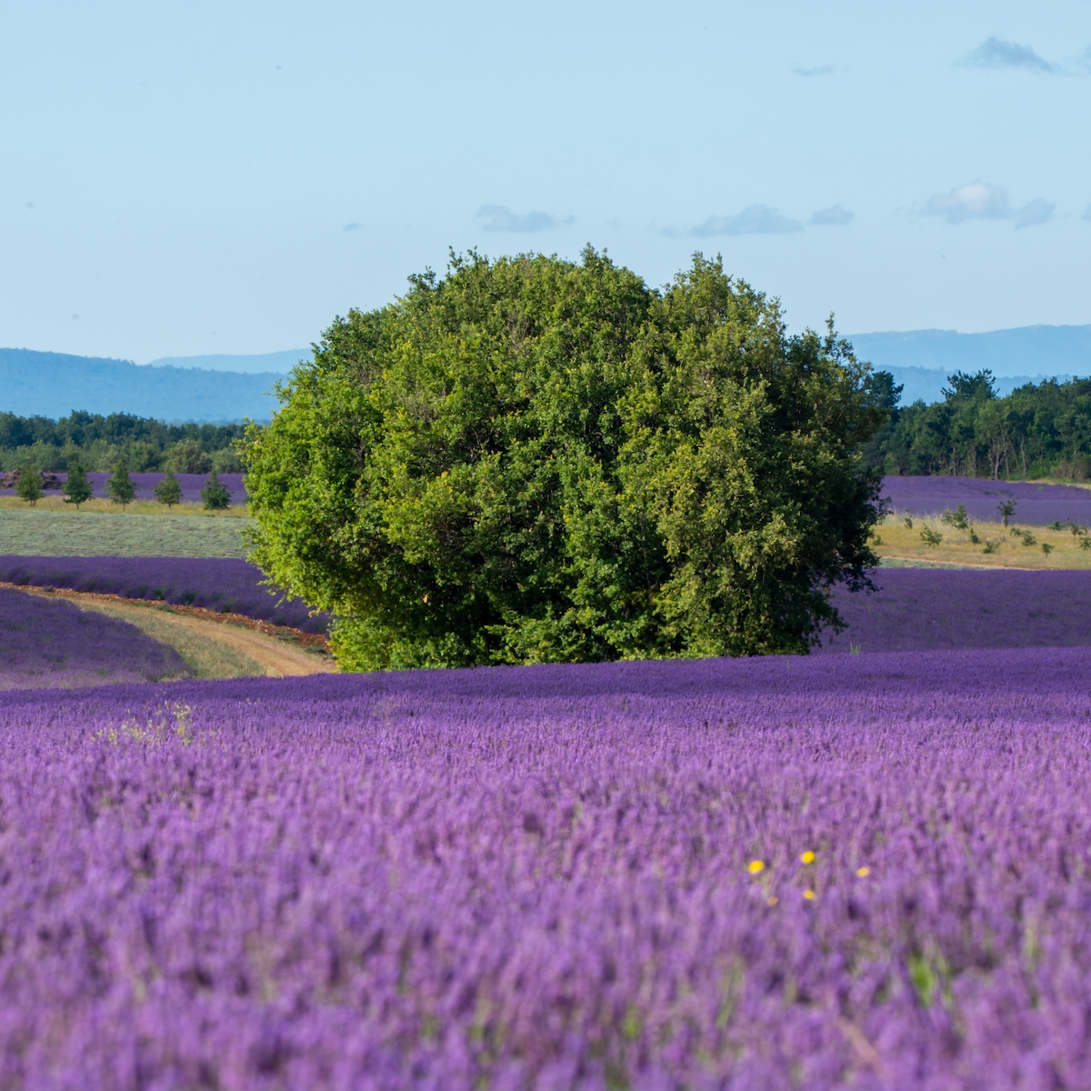 6 Amazing Lesser-Known Attractions To Visit In Europe | TravelAwaits