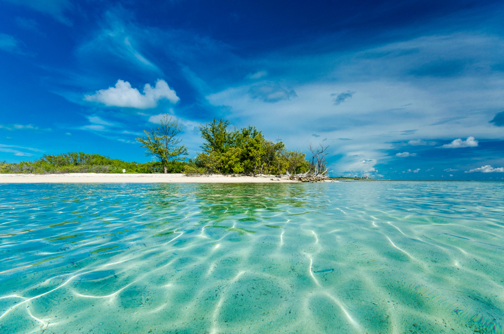 11 Fantastic Things to Do in Bimini Bahamas | TravelAwaits
