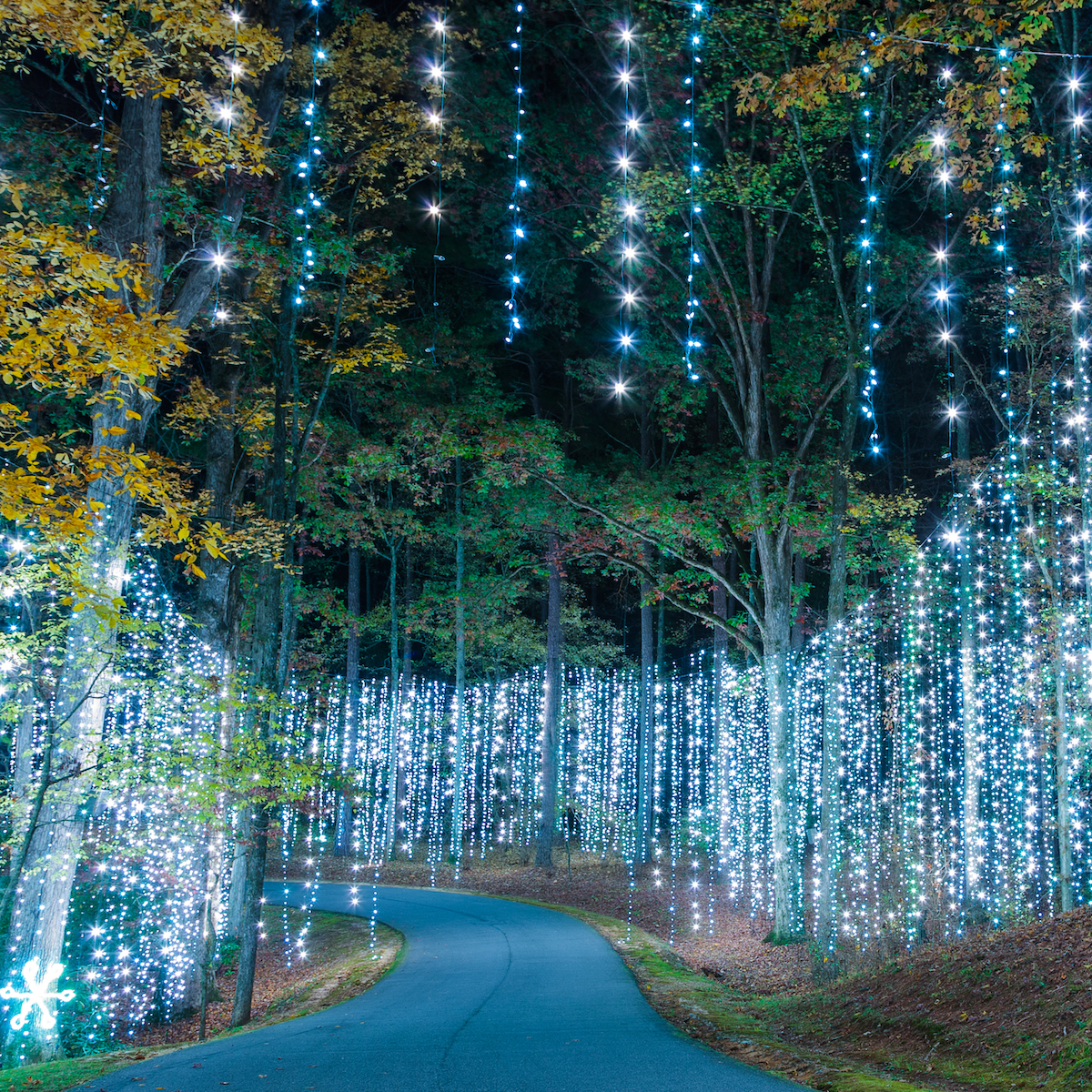 6 Reasons To Visit Fantasy In Lights At Callaway Resort And Gardens This Year | TravelAwaits