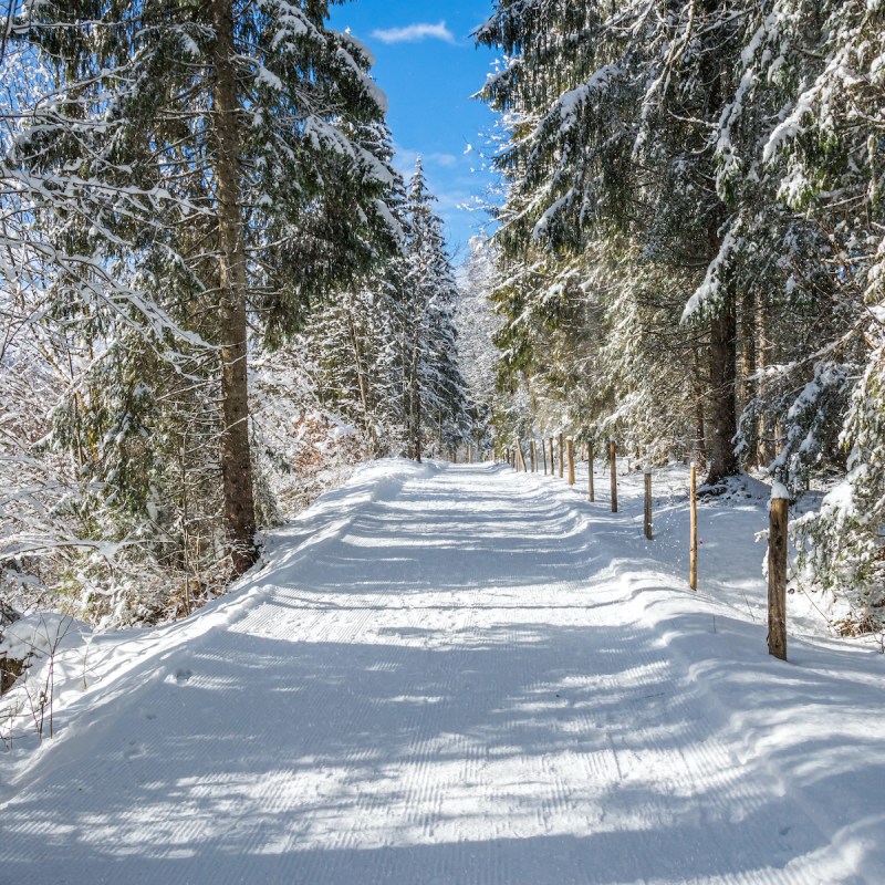 8 Essential Tips For Safe And Warm Winter Hiking | TravelAwaits