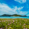 8 Reasons You'll Love Exploring Japan’s Remote Zamami Island | TravelAwaits