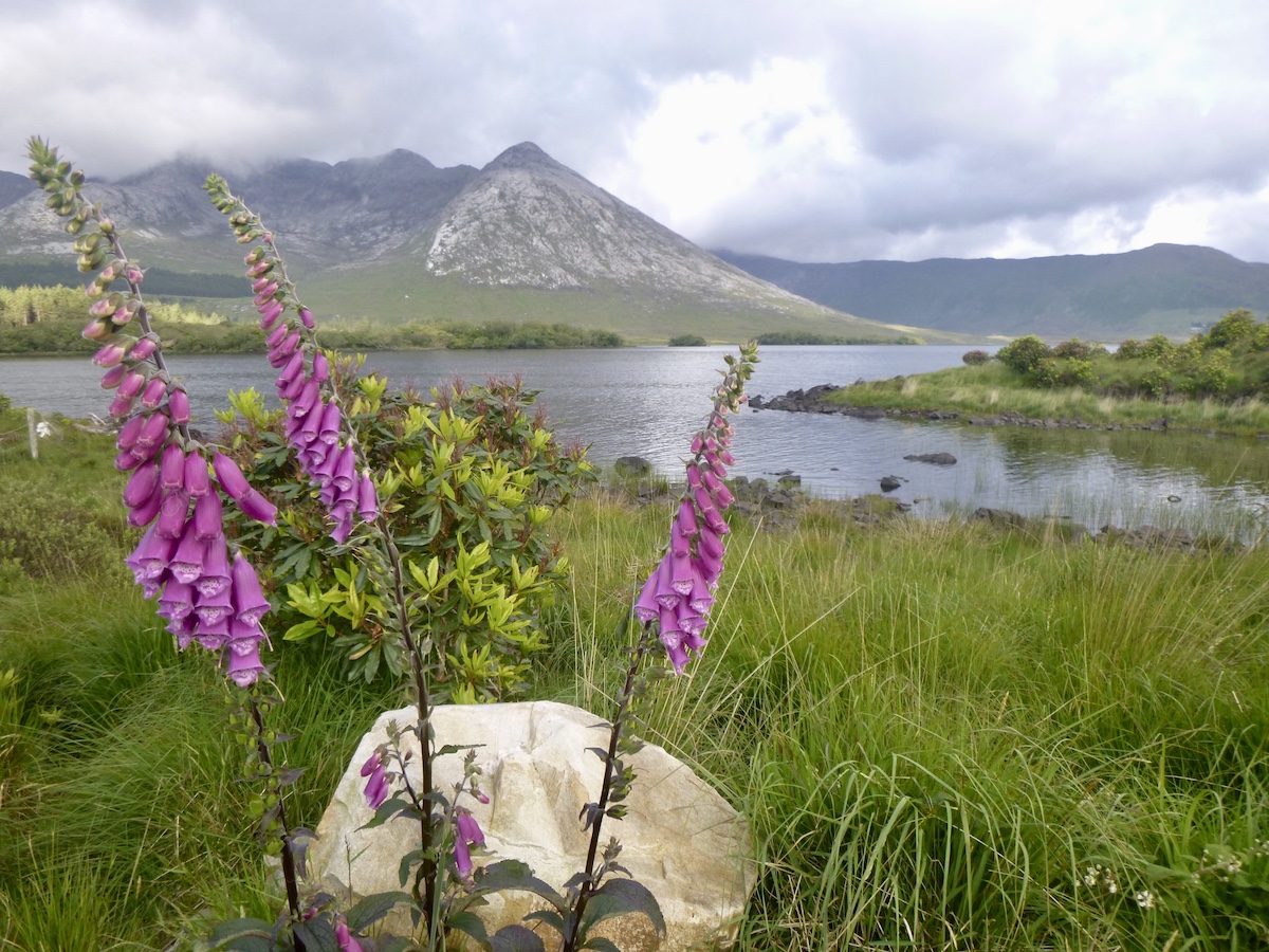 13 Reasons You’ll Fall In Love With Ireland’s Enchanting Connemara ...