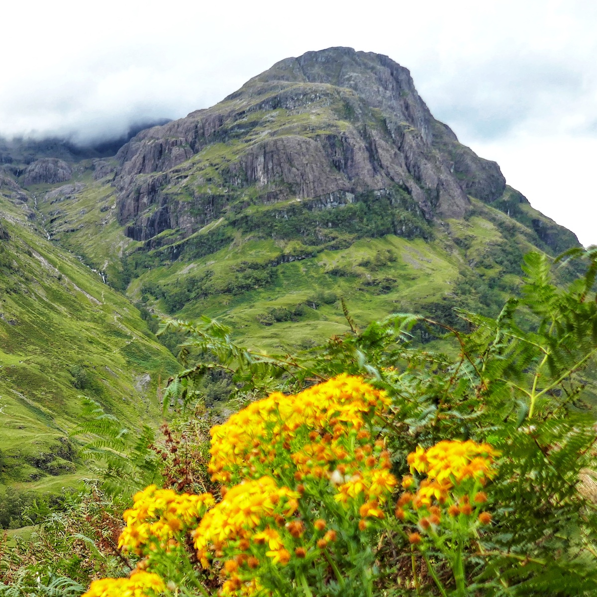 My 11 Favorite Experiences On A Road Trip Through Scotland | TravelAwaits