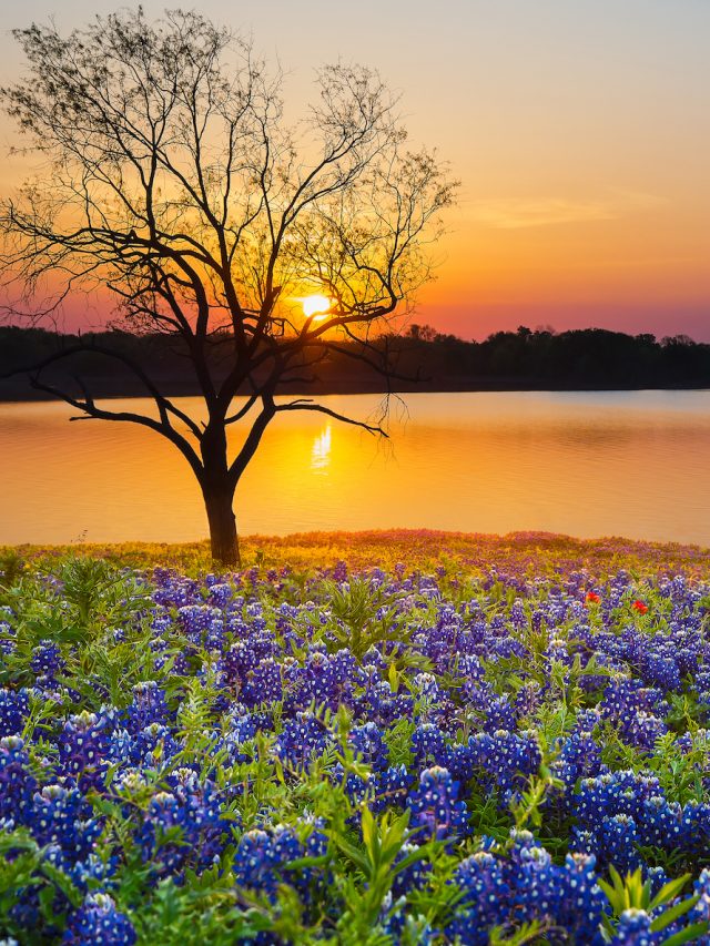 Top Texas Spring Break Spots for You! | TravelAwaits