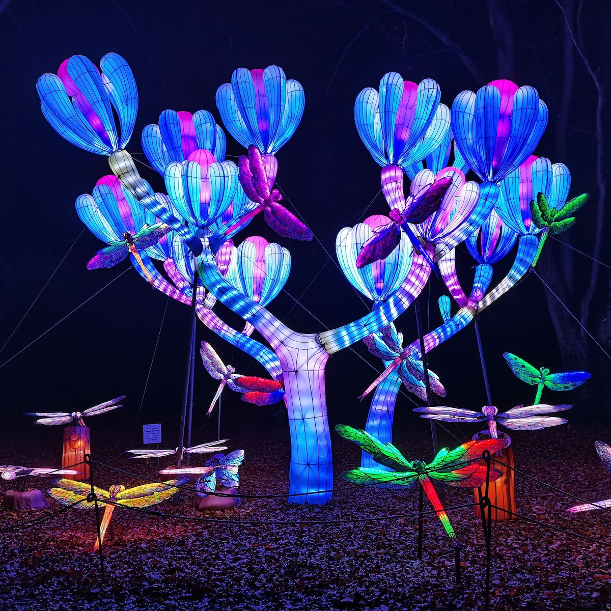 The Breathtaking Spring Festival You Won’t Want To Miss In Southern ...