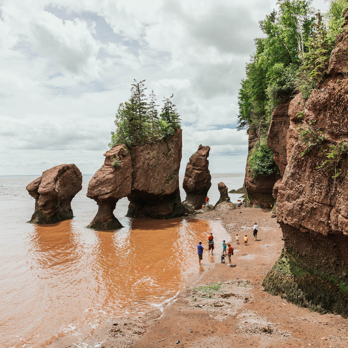 9 Best Things To Do At Hopewell Rocks Provincial Park | TravelAwaits