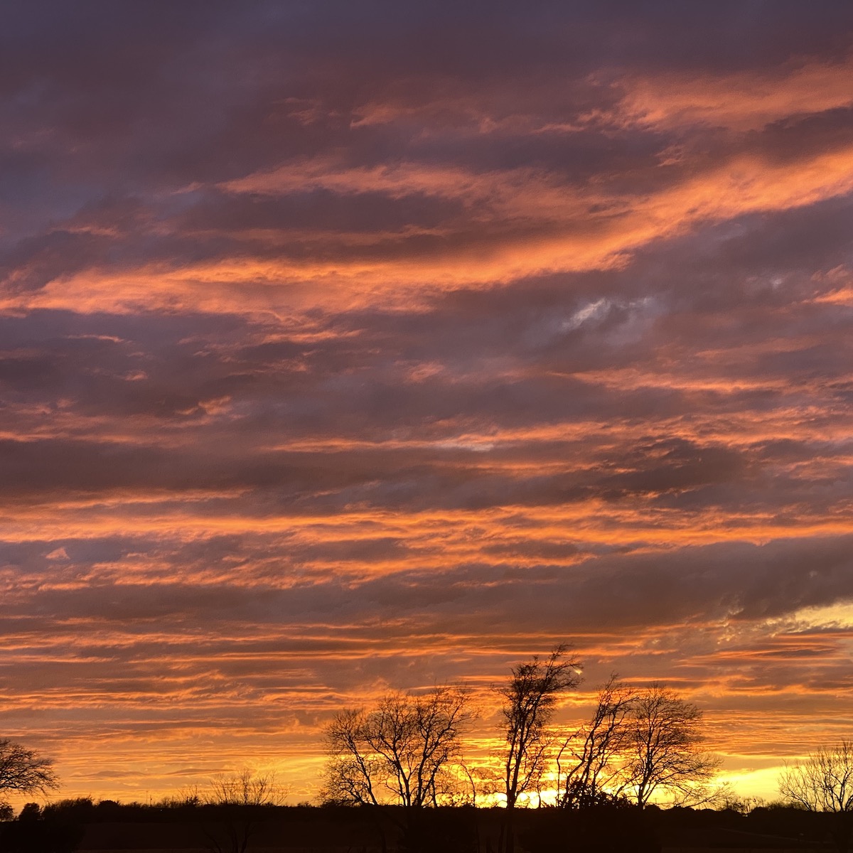 7 Texas College Towns Perfect For A Weekend Getaway | TravelAwaits