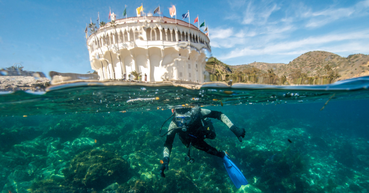 7 Amazing Outdoor Adventures To Experience On Catalina Island ...